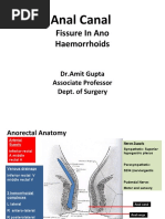 Anal Fissure & Fistula in Ano | PDF | Rectum | Hemorrhoid