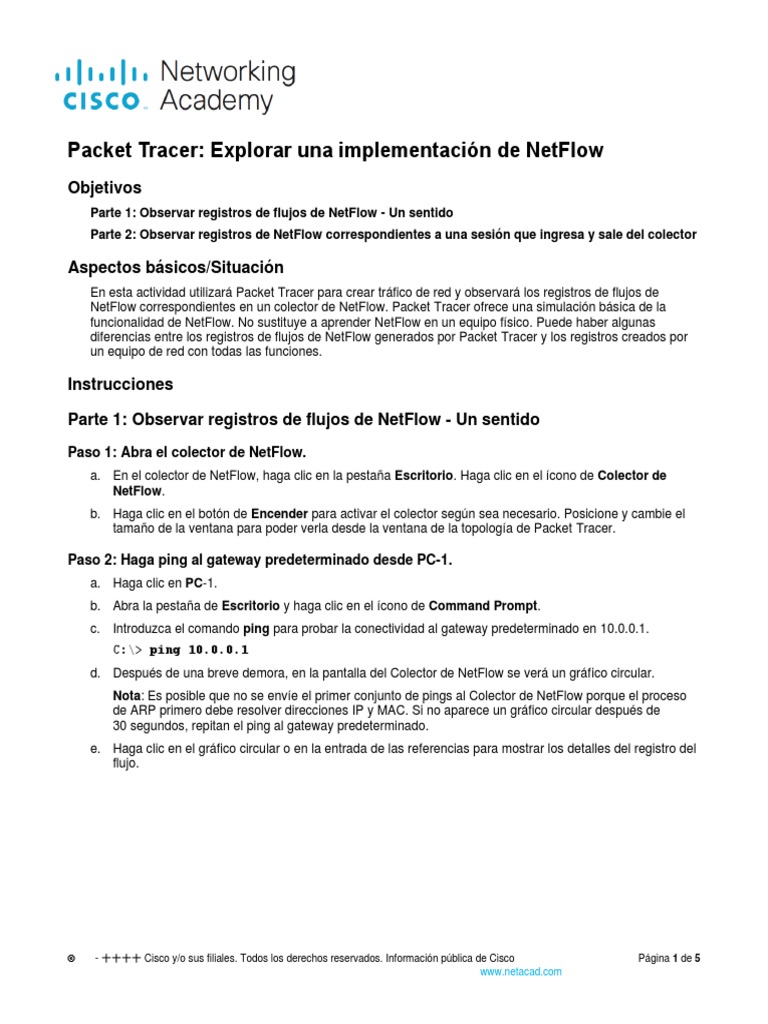 25.3.10 Packet Tracer - Explore A NetFlow Implementation | PDF ...