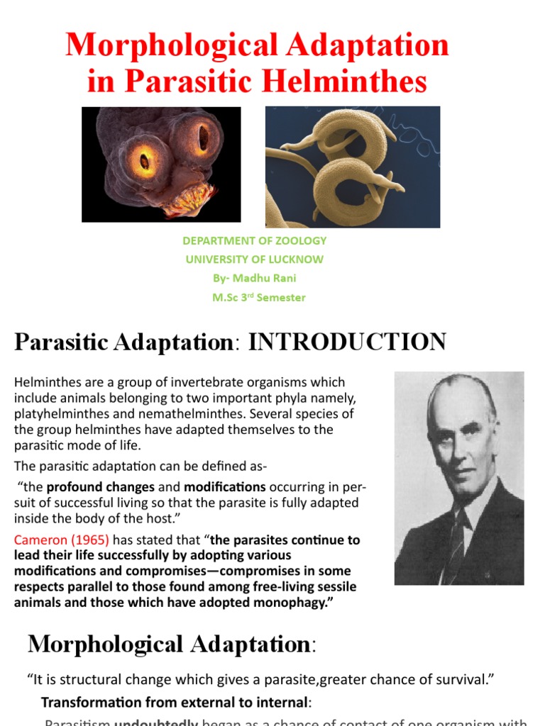 Morphological Adaptation in Parasitic Helminthes | PDF | Parasitism ...