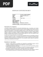 Guía del Proyecto Capstone: Definición y Pasos | PDF | Experiencia | Teoría