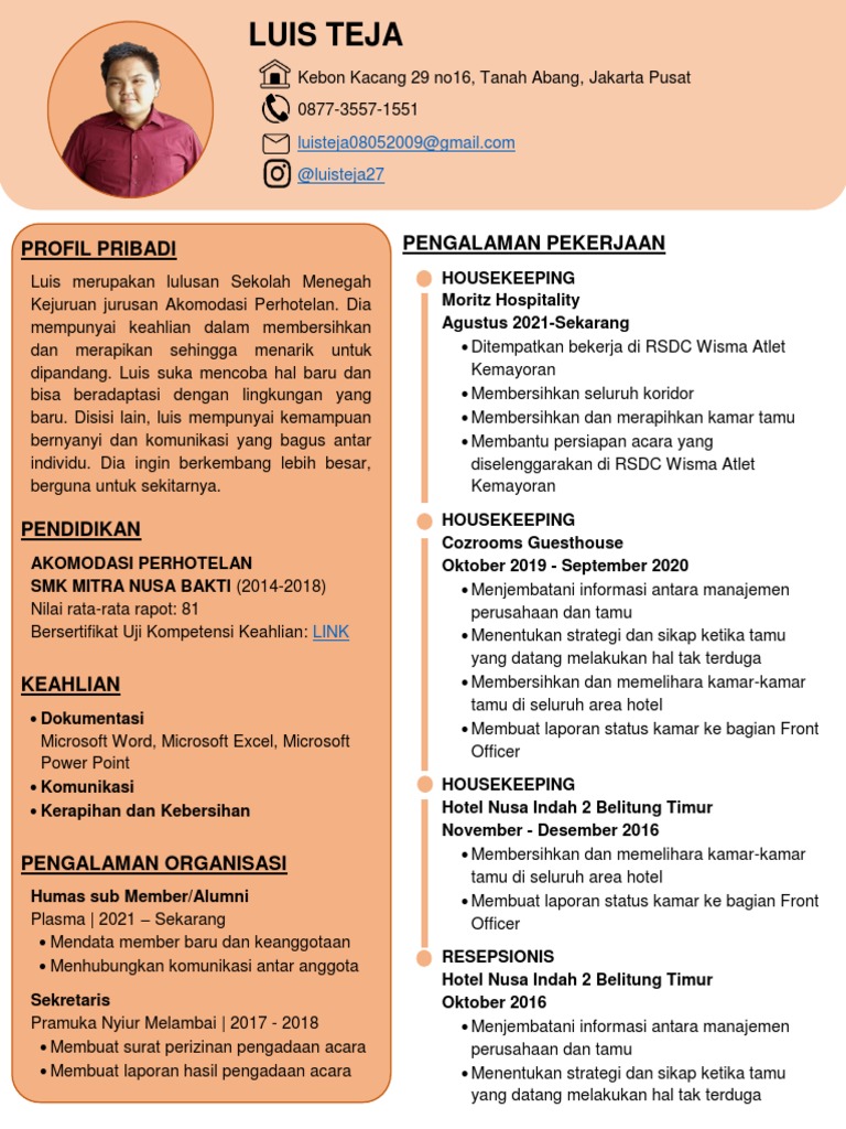 Luis Teja - CV | PDF