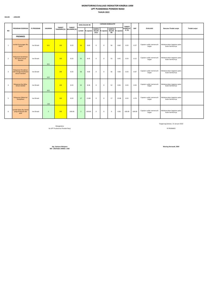 Monitoring Indikator Kinerja Promkes | PDF