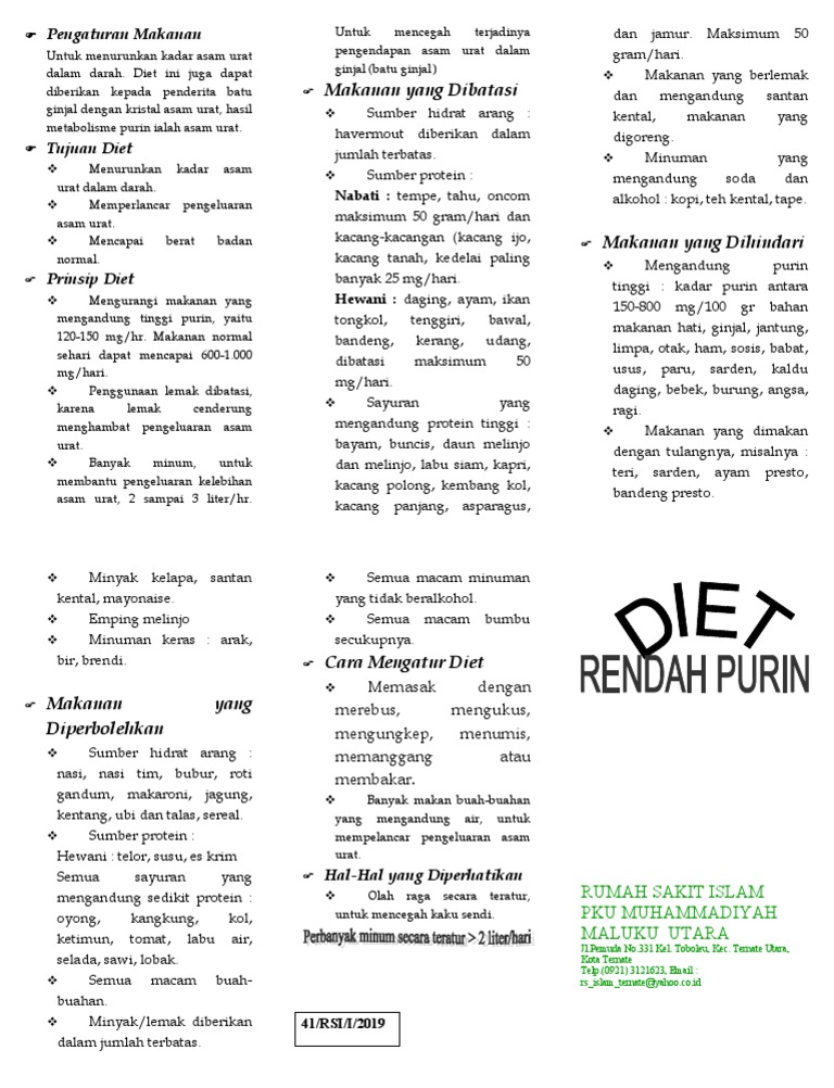 Leaflet Diet Rendah Purin | PDF