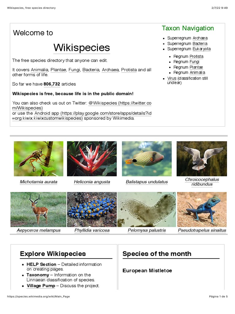 Wikispecies, Free Species Directory | PDF | Botany