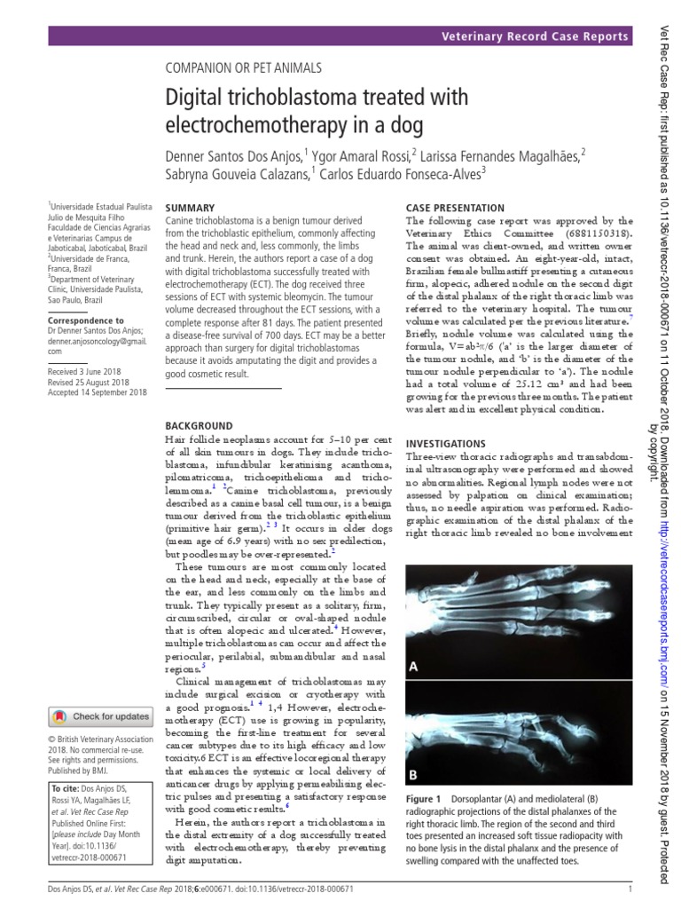 Digital Trichoblastoma Treated With ECT in A Dog | PDF | Neoplasms ...