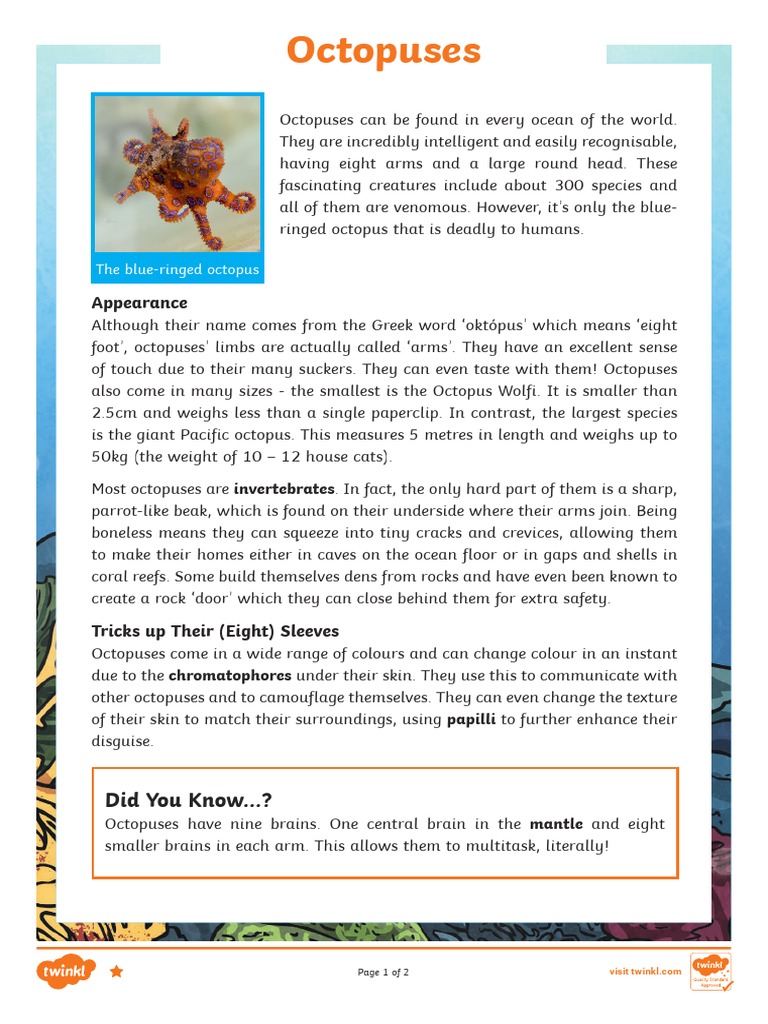 t2 e 5258 Octopus Differentiated Reading Comprehension Ages 911 - Ver ...