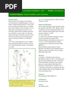 Form 2 Combined Science Notes | PDF | Digestion | Flowers