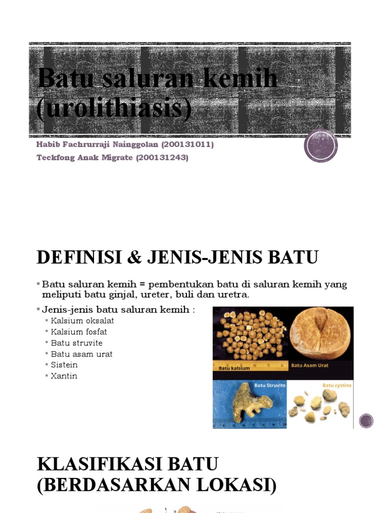 Batu Saluran Kemih (Urolithiasis) | PDF