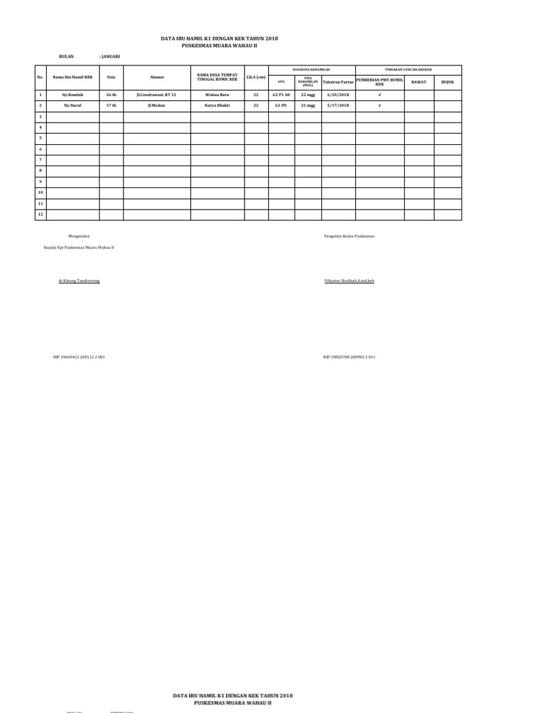 Data k1 Bumil Kek | PDF
