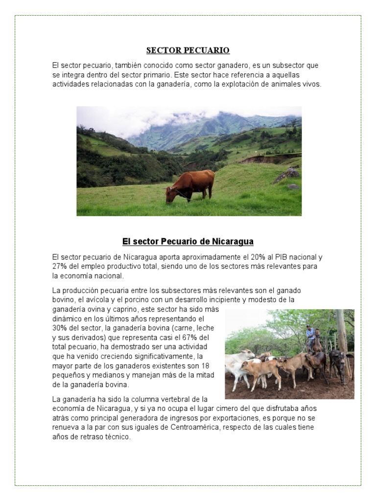 SECTOR PECUARIO. | PDF | Nicaragua | Vacas