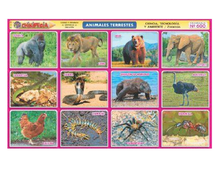 Animales Terrestres | PDF