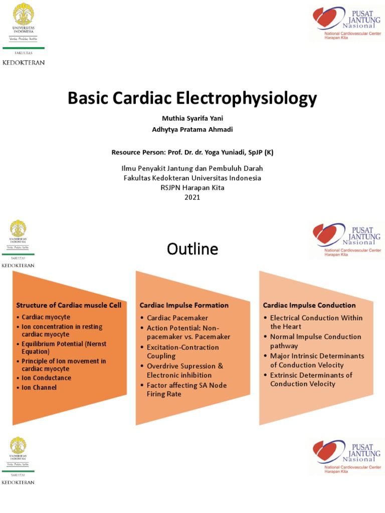 Basic Cardiac Electrophysiology Explained | PDF | Cardiac Muscle ...