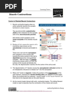 Steps of the Cross Bridge Cycle | PDF | Muscle Contraction ...