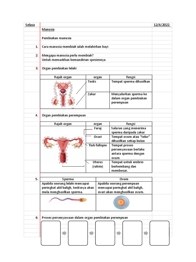 Bab 2 - Manusia (Sains Tahun 6) | PDF
