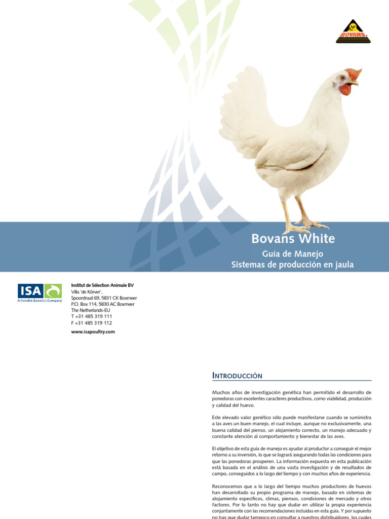 Guía de Manejo Bovans White | PDF | Zoología | Ornitología