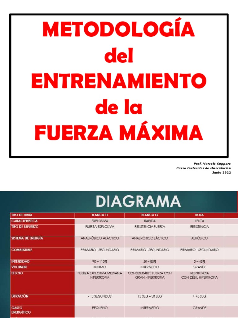 Entrenamiento de Fuerza Máxima | PDF | Contracción muscular ...