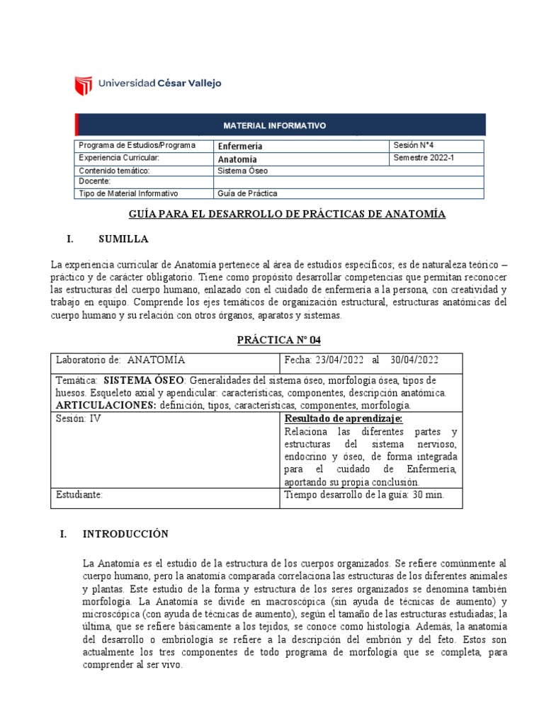 Guia De Anatomía Sesión 4 Sistema óseo Y Articular Descargar Gratis