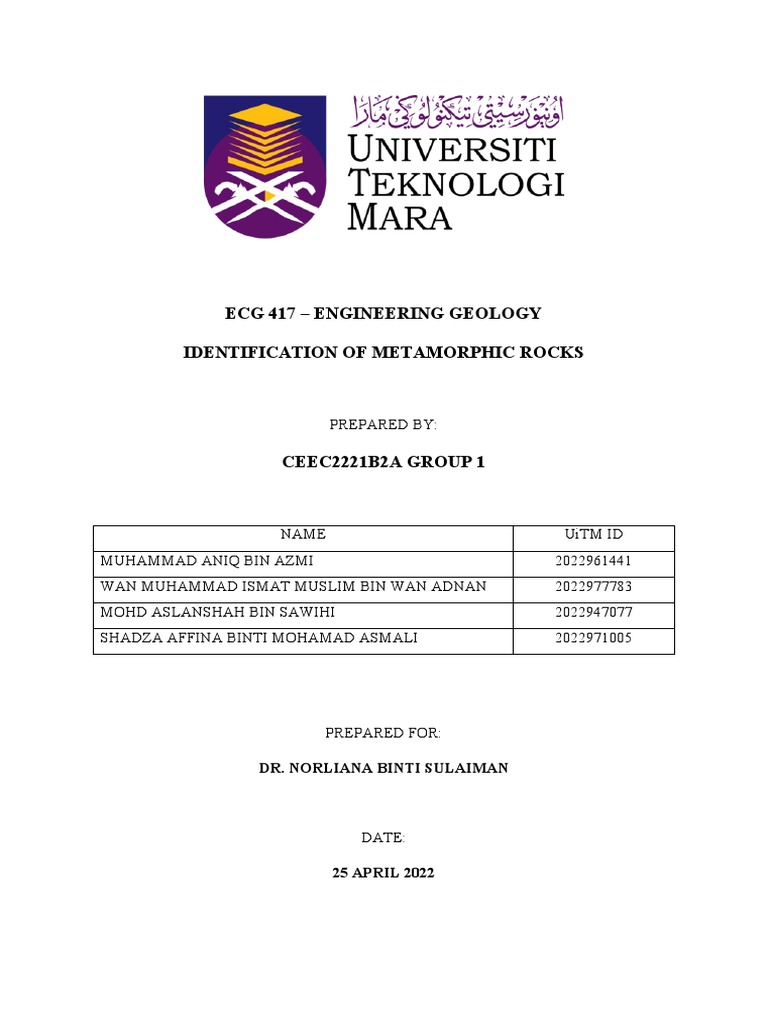 Metamorphic Rock Report | PDF | Rock (Geology) | Igneous Rock
