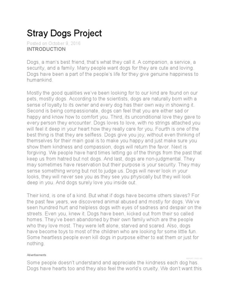 Stray Dogs Project: Posted On October 9, 2016 | PDF | Dogs | Pet