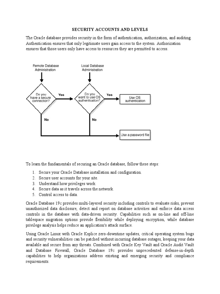 Security Accounts and Levels | PDF | Databases | Cloud Computing