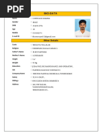 Matrimonial Resume CV | PDF
