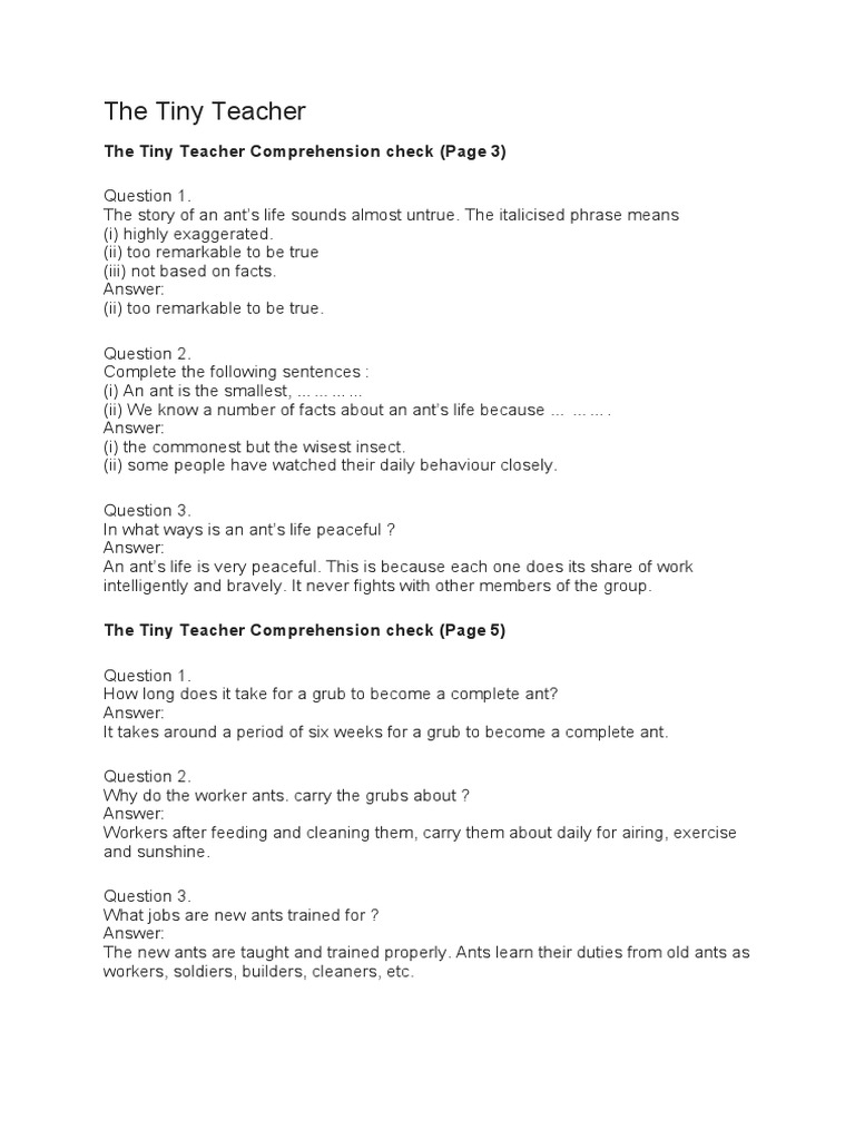 The Tiny Teacher Comprehension Check (Page 3) | PDF | Ant | Insects