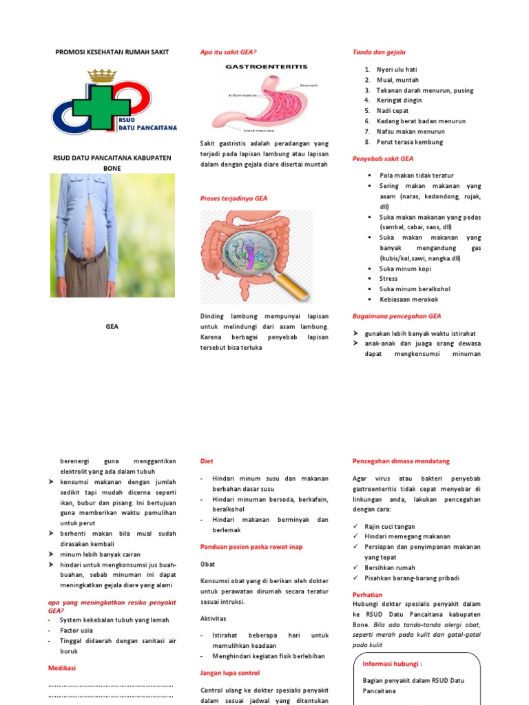 05 Leaflet Gea | PDF
