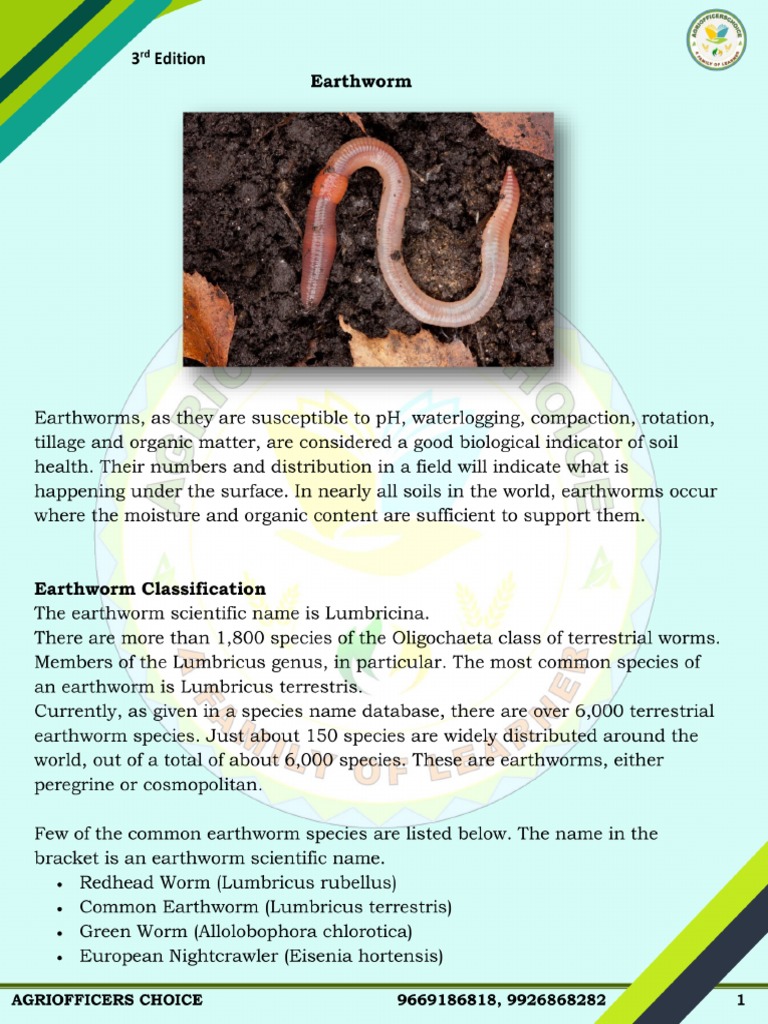 Earthworm | PDF