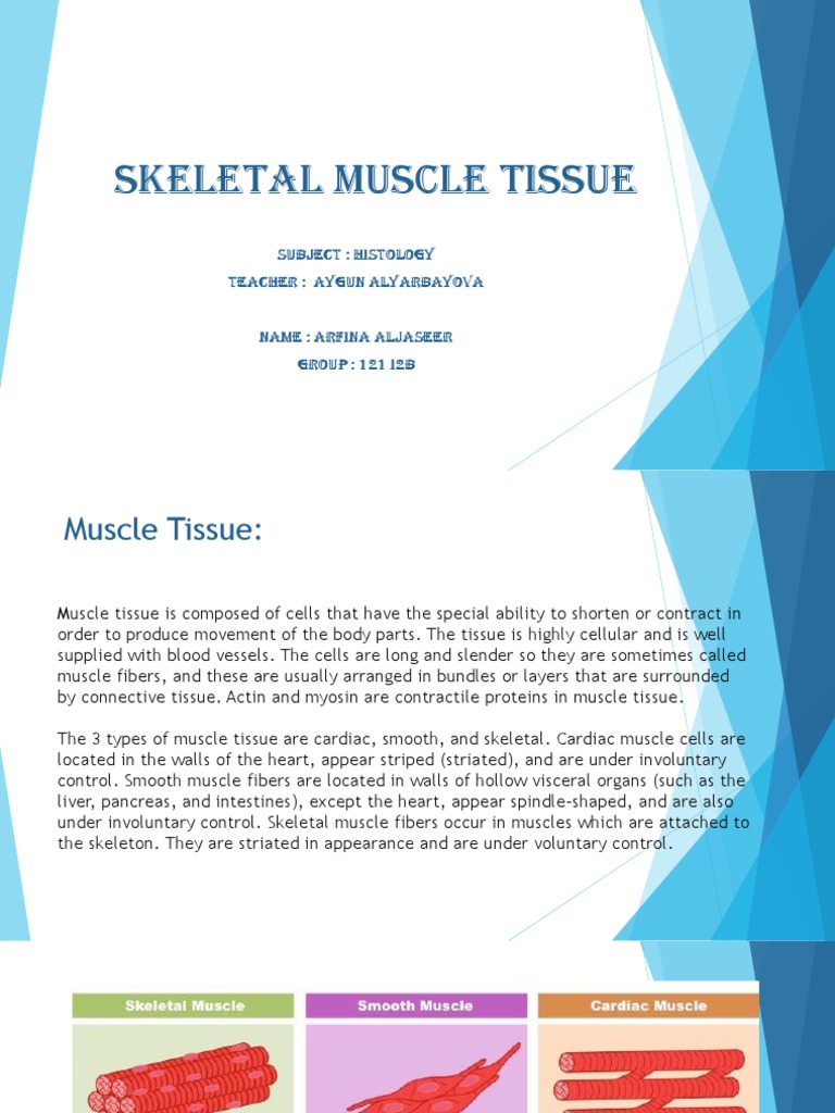 skeletal muscle (2) | PDF | Skeletal Muscle | Muscle Contraction
