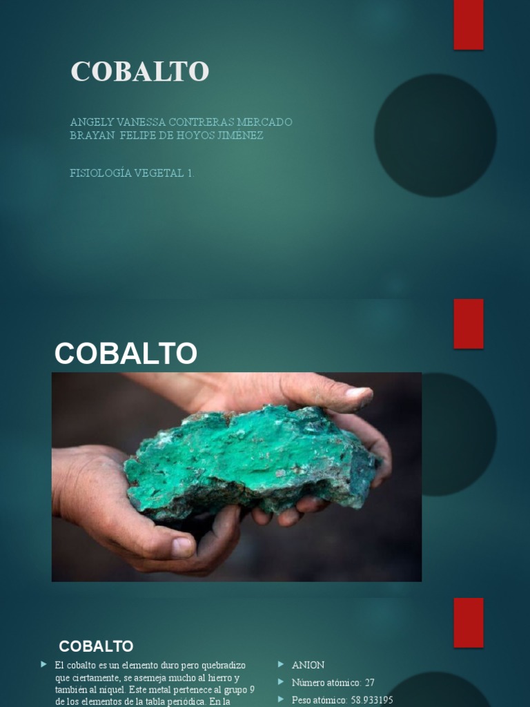 Función y deficiencia de cobalto en plantas | PDF | Cobalto | Rieles