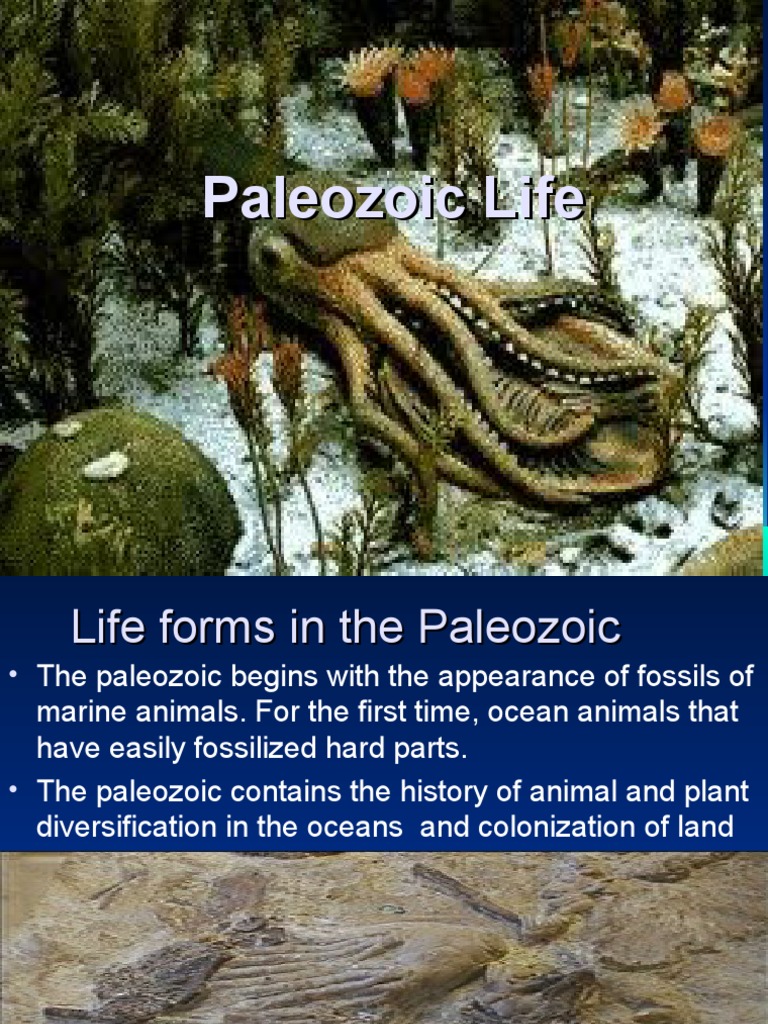 Paleozoic | PDF | Reptile | Fish