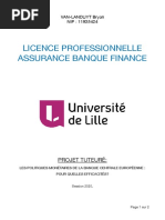 Les Risques Bancaires | PDF | Banques | Risque
