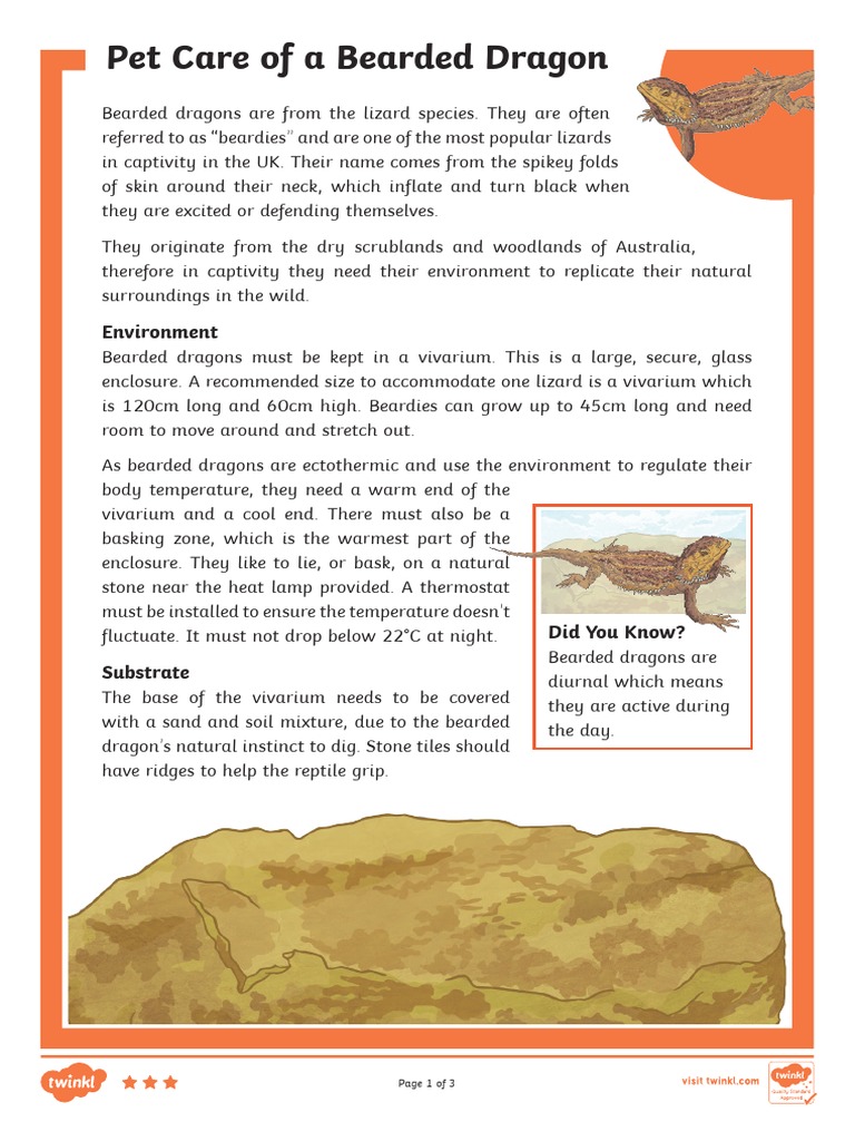 Pet Care of A Bearded Dragon: Environment | PDF | Vivarium | Lizard