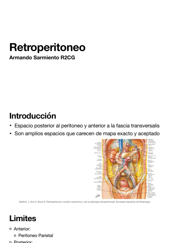 Anatomía y Espacios del Retroperitoneo | PDF | Órgano (anatomía ...