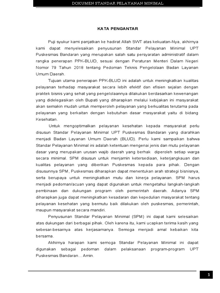 Standar Pelayanan Minimal Puskesmas Bandaran | PDF