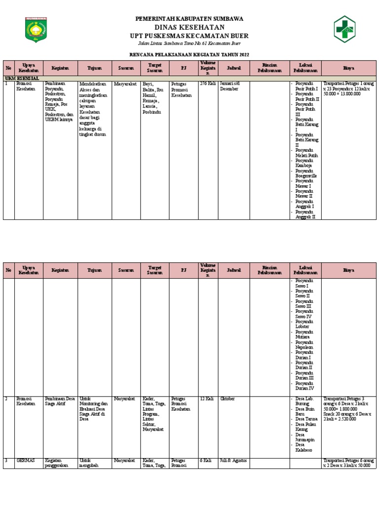 RPK Buer Tahun 2022 | PDF