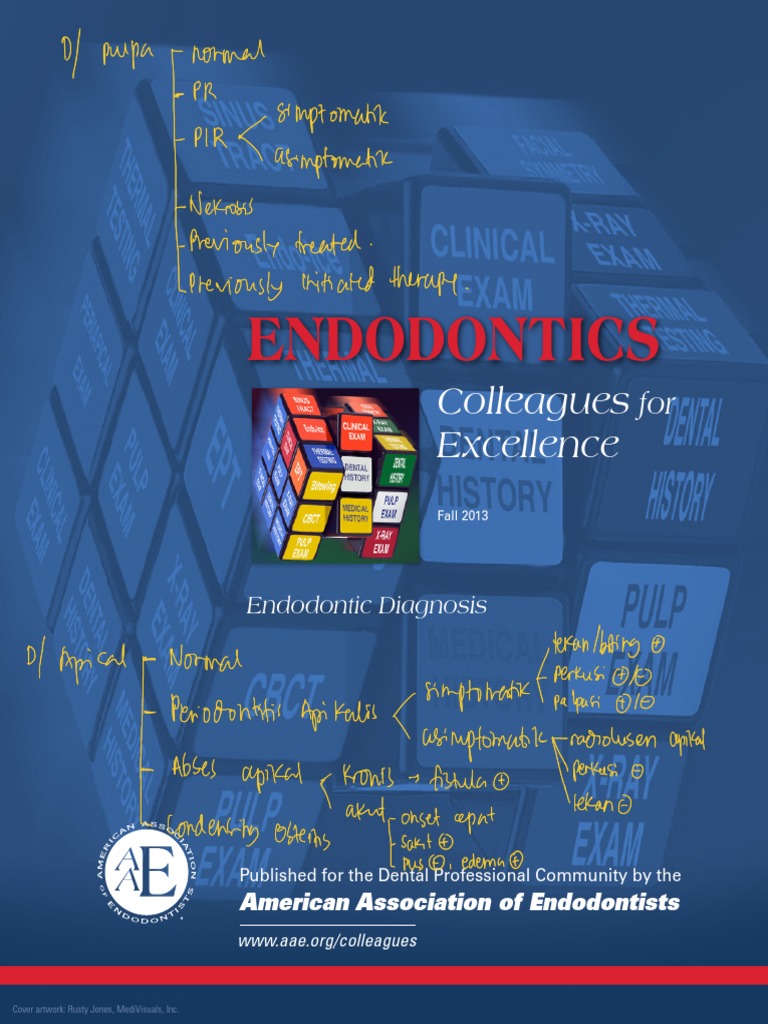 AAE Diagnosis | Download Free PDF | Business