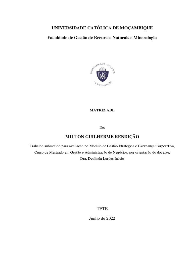 Matriz Adl & Estratégia Genérica de Porter | PDF | Vantagem competitiva ...