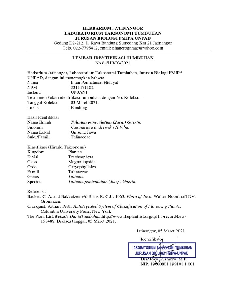 Intan Permatasari | PDF