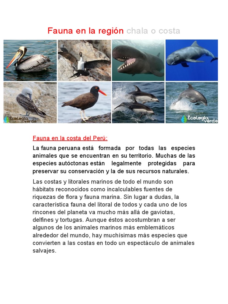 Fauna en La Región Chala o Costa | PDF