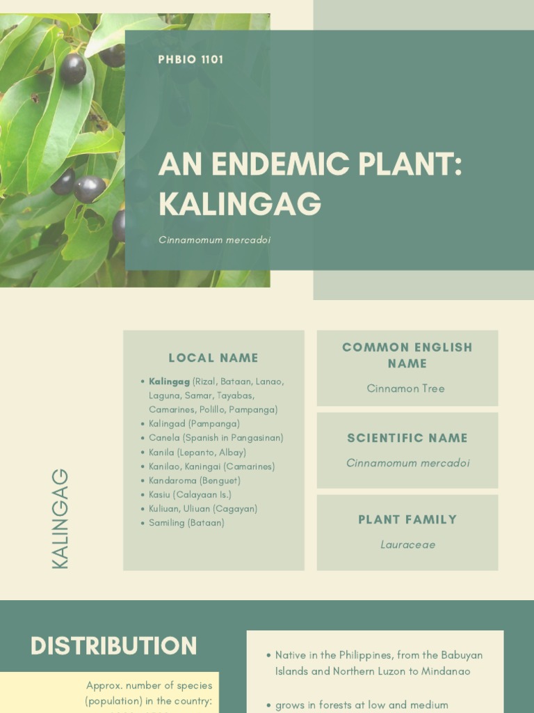 An Endemic Plant: Kalingag: PHBIO 1101 | PDF