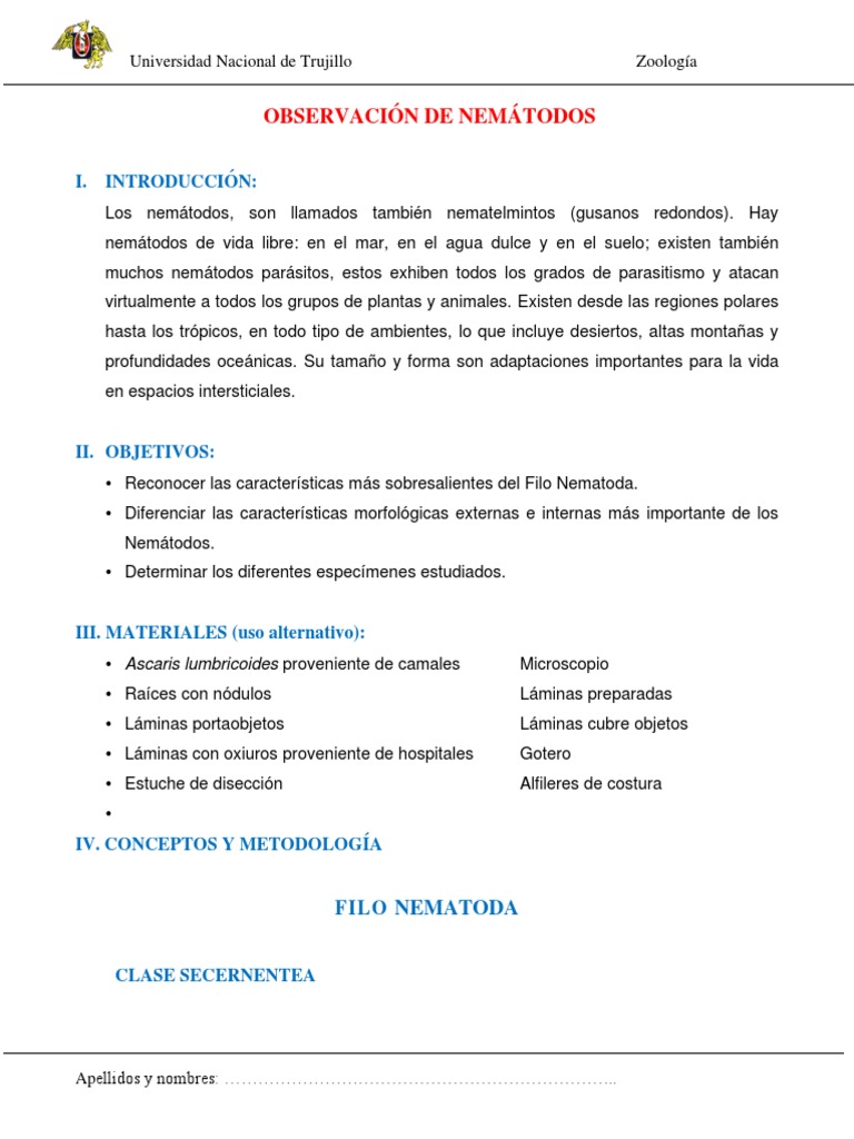 Guía de Práctica 4 - 2022 | PDF | Nematodo | Sistema reproductivo