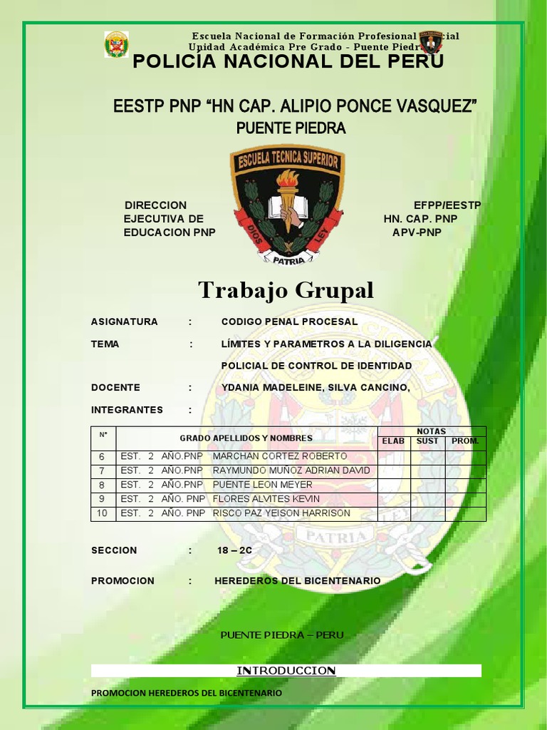 CPP - Control de Identidad | PDF | Policía | Derecho penal