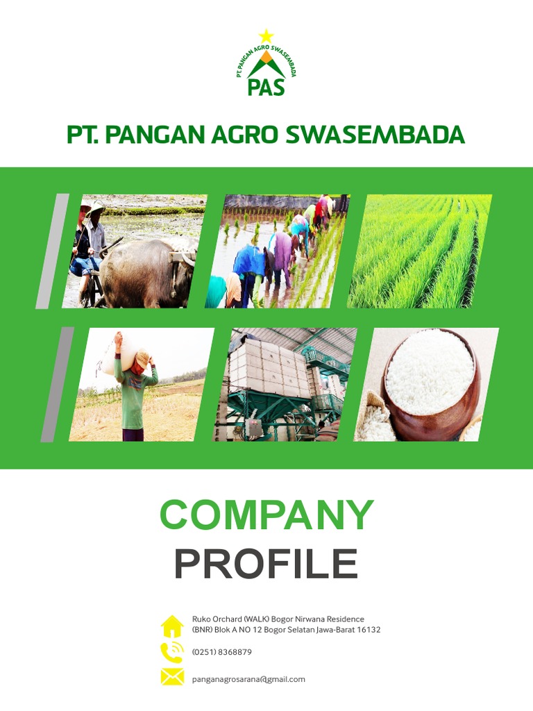 Company Profile PT - PAS 2021 | PDF