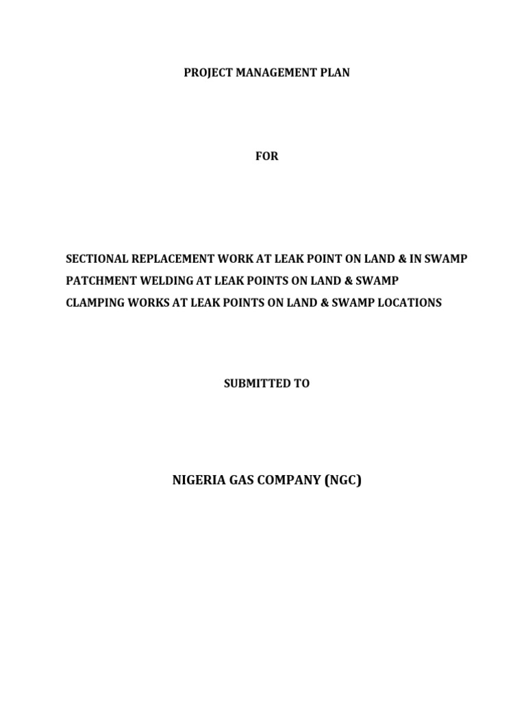 Project Management Plan | PDF | Welding | Construction