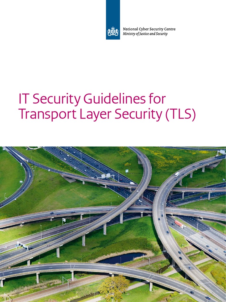 IT Security Guidelines TLS | PDF | Transport Layer Security | Cryptography