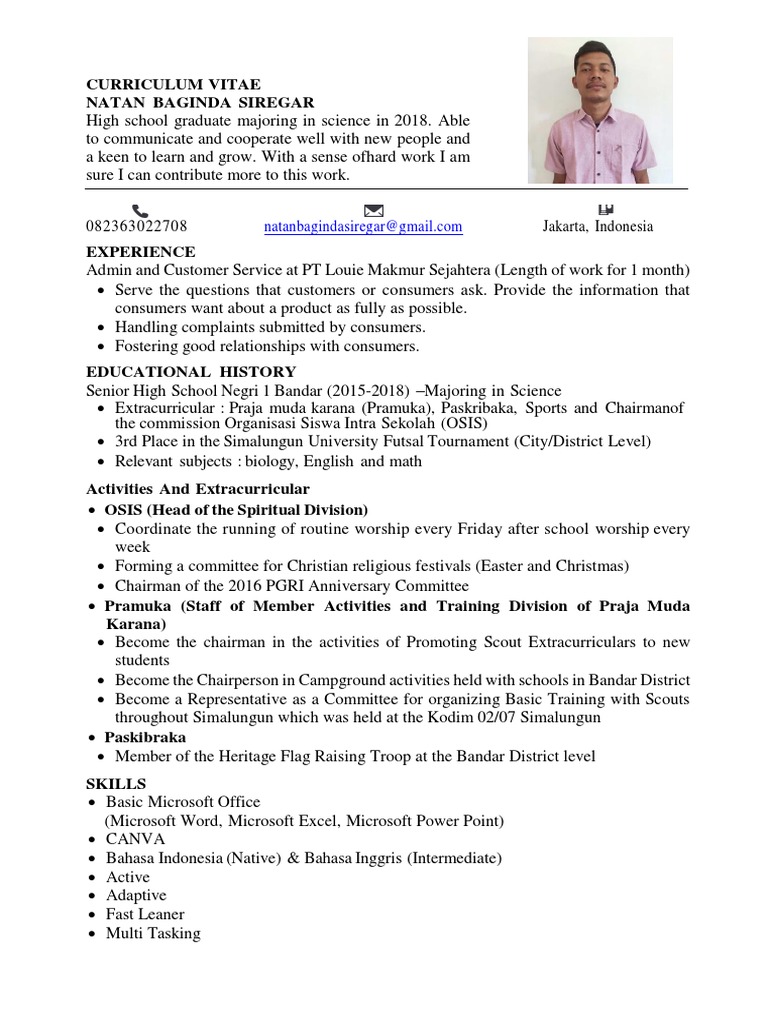 Curriculum Vitae Natan Baginda Siregar | PDF