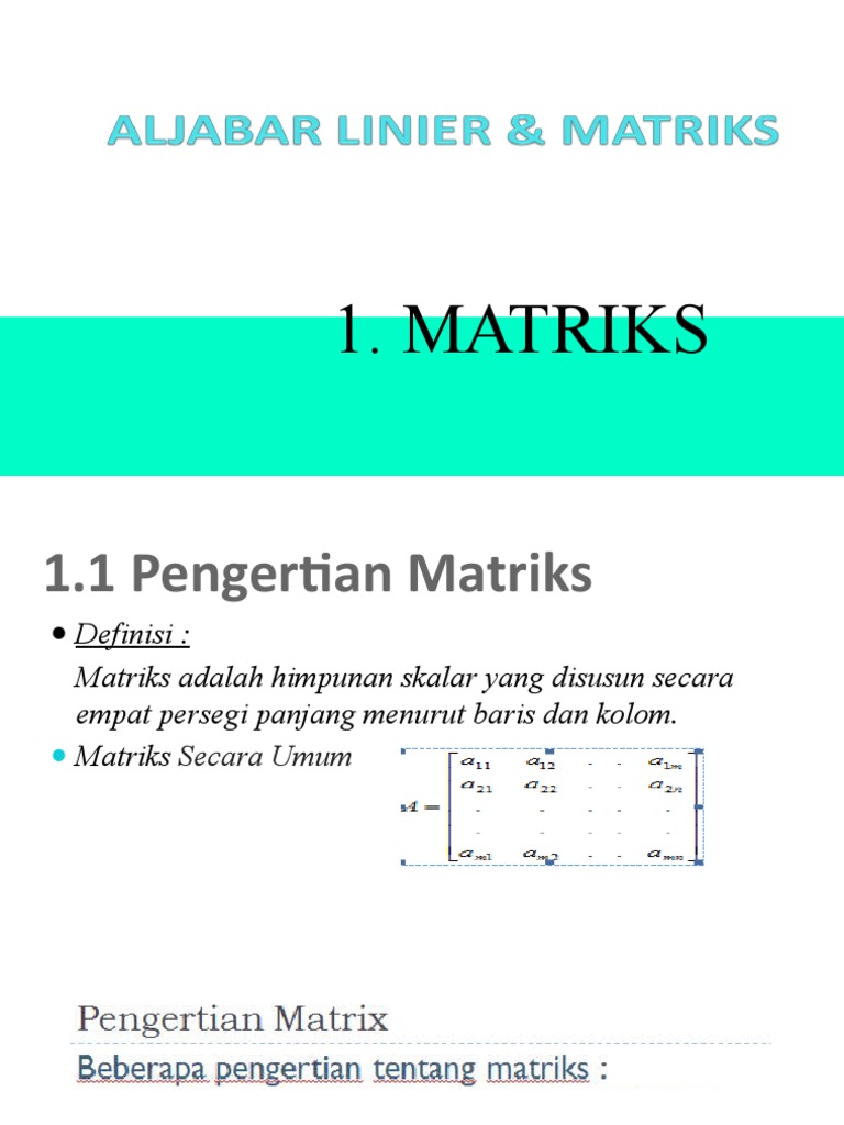 BAB 1 Matriks | PDF