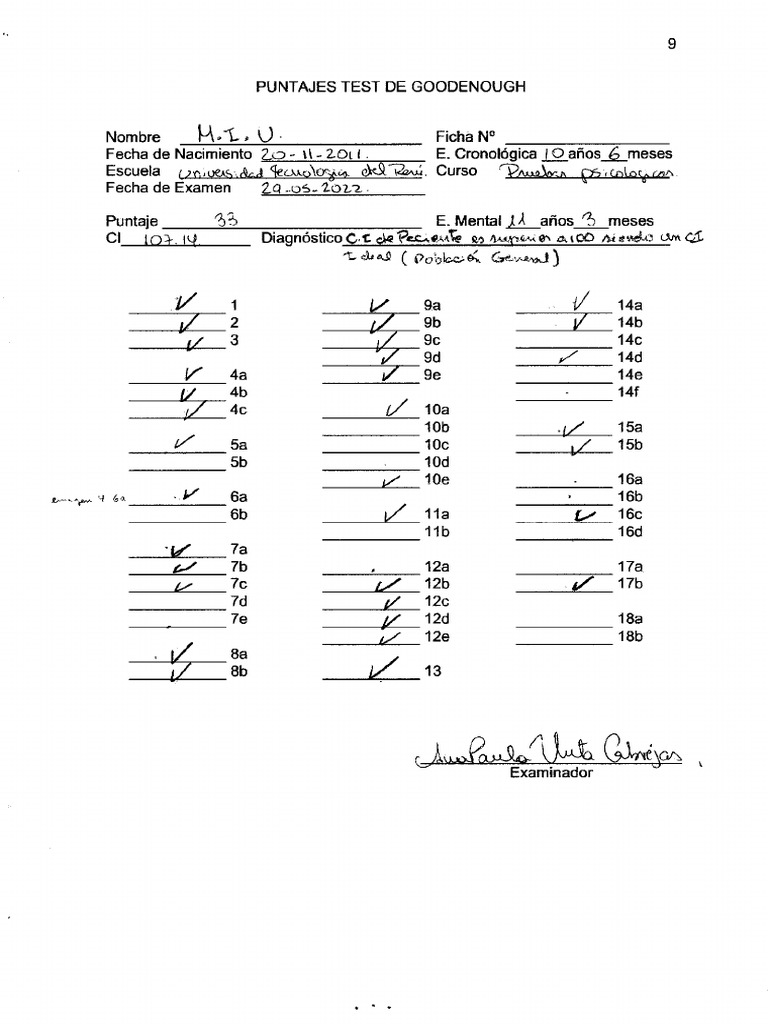 Test de Goodenough | PDF