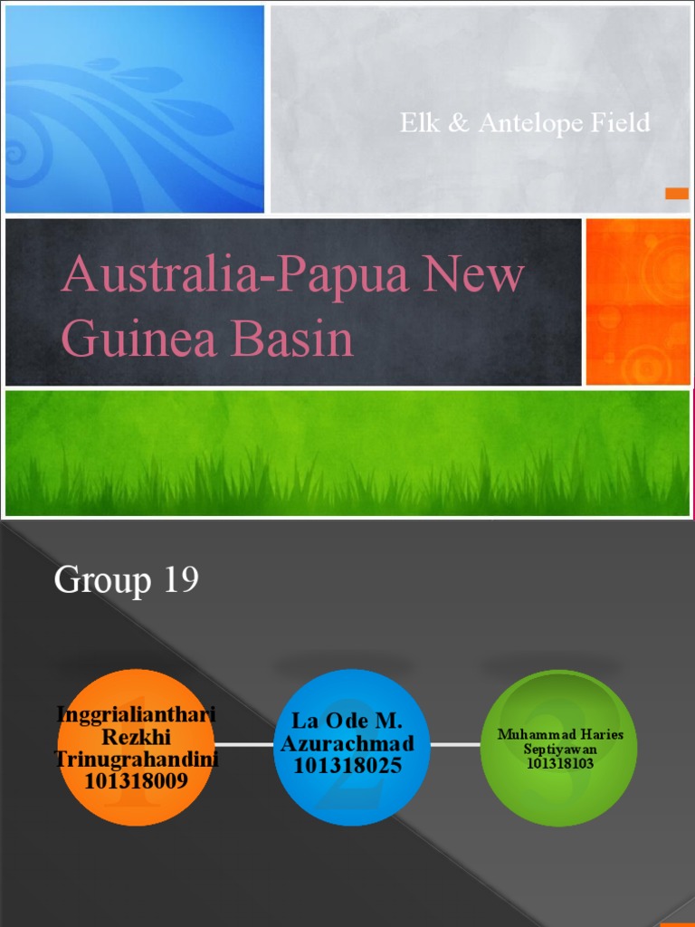 Australia-Papua New Guinea Basin Group 19 | PDF | Papua New Guinea ...